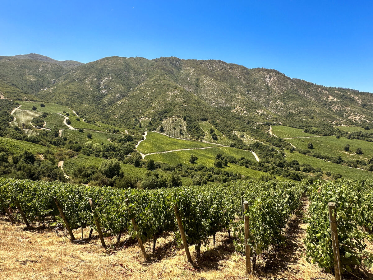 The Definitive List of Chilean Wineries to Know - Azure Road