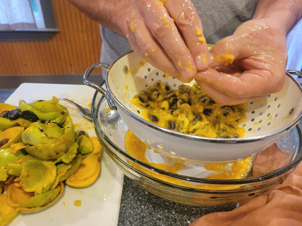 What Is Pawpaw? An Elusive Fruit That’s Worth the Hunt - Azure Road