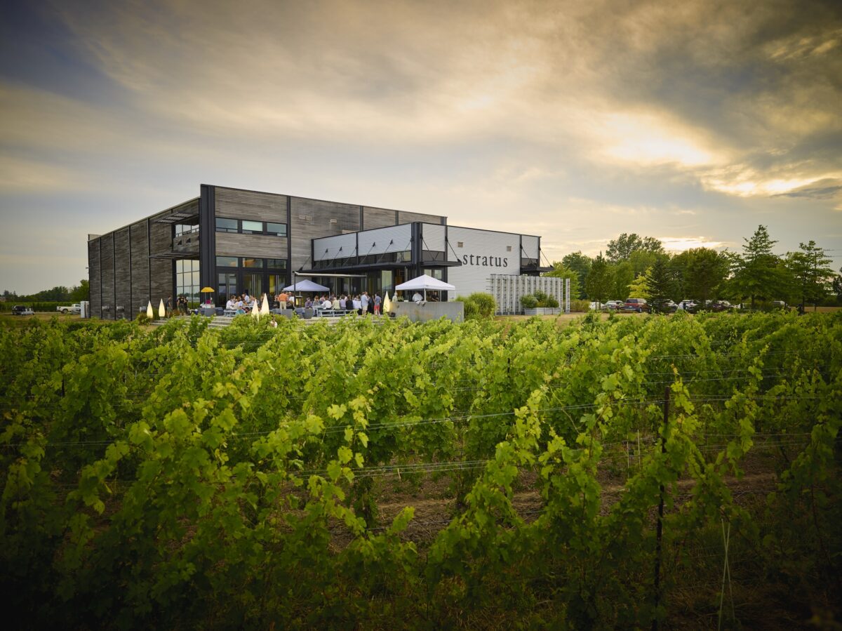 Niagara Peninsula's Sustainable Wines in the Spotlight - Azure Road