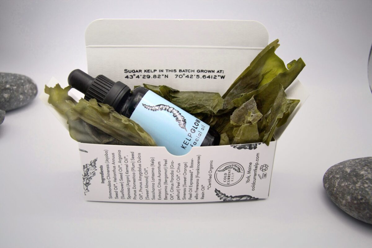 Regenerative Kelp: The Beauty Industry's Secret Weapon - Azure Road