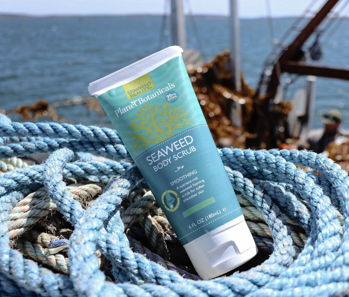 Regenerative Kelp: The Beauty Industry's Secret Weapon - Azure Road
