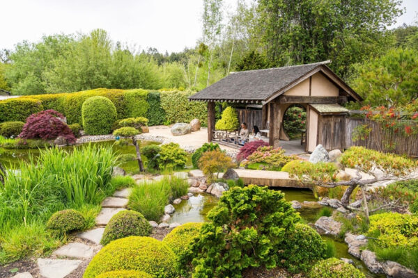 The Treatment: Cedar Enzyme Bath at Osmosis Day Spa - Azure Road