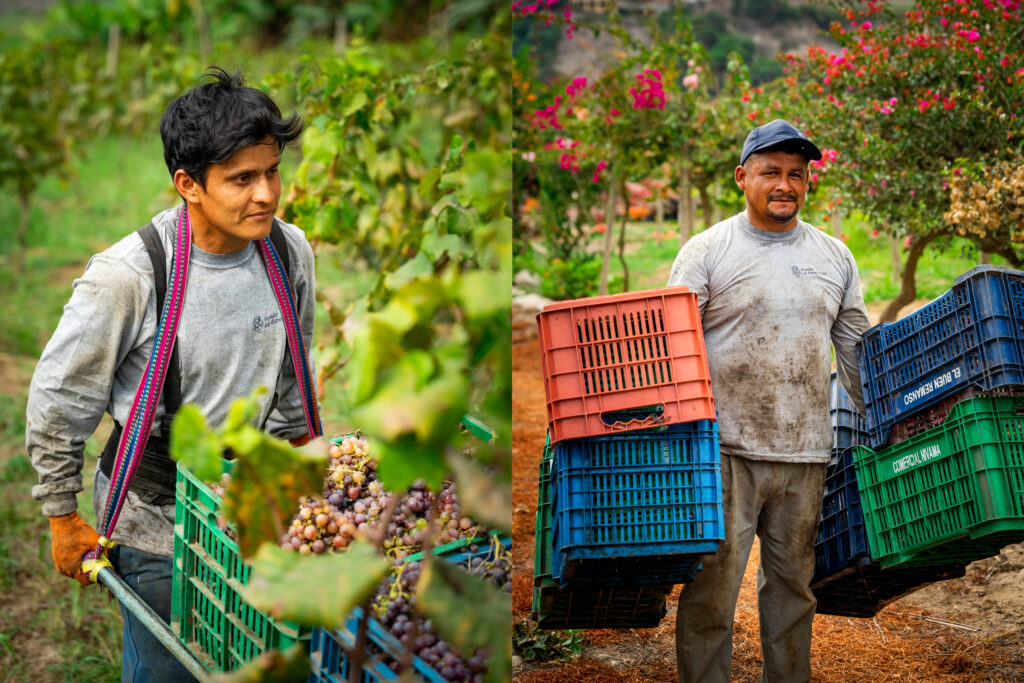 Spirit of the Andes: What to Know About Artisanal Pisco From Peru