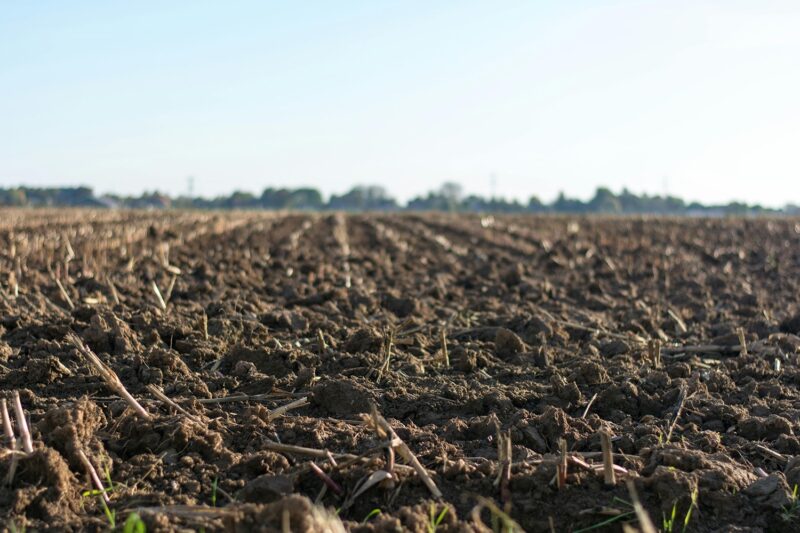 Soil Depletion in America: Farming Crisis