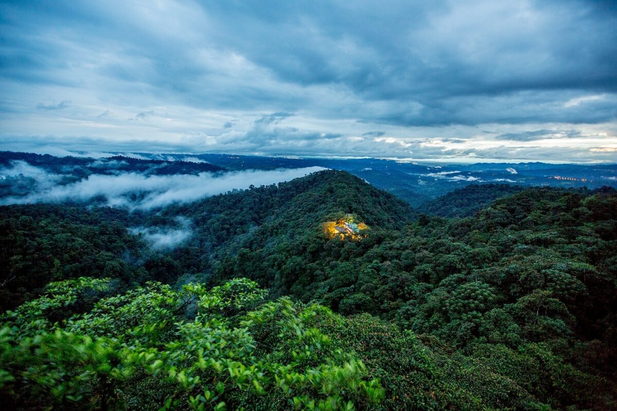 Mashpi Lodge Ecuador: Rainforest Research and Retreat