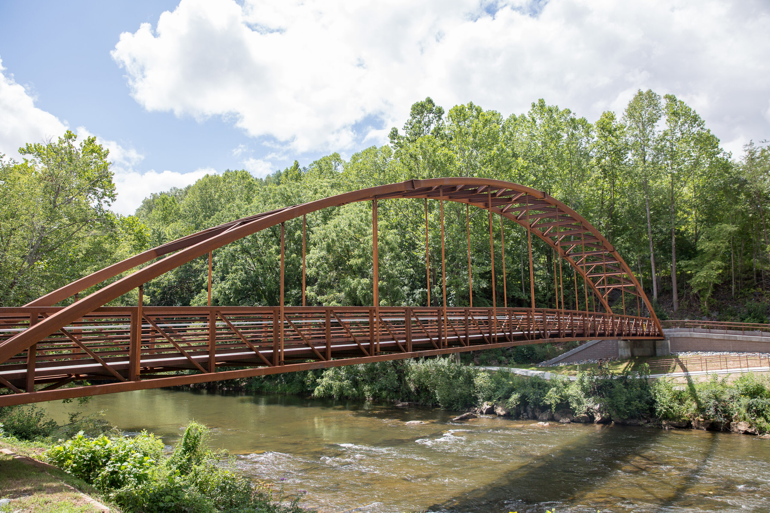 The Adventure: Forest Bathing in Jackson, County, North Carolina ...